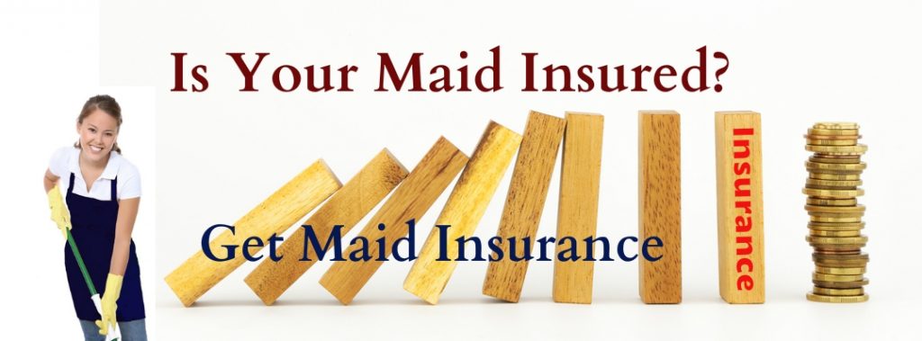 Maid Agency Singapore | Domestic Helper Expert